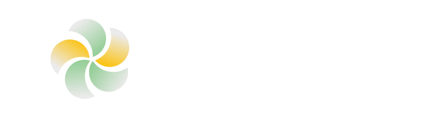 The Team – Culmination